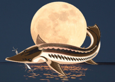 August Full Moon: Sturgeon Moon | Sabbats and Sabbaths