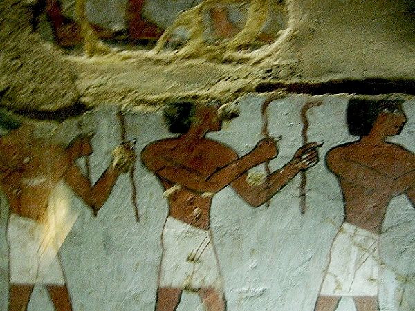 The Wand of Moses? | Sabbats and Sabbaths